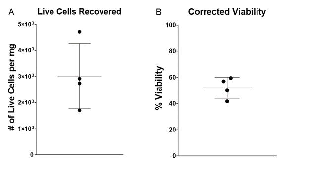 Rapid Skin Dissociation Protocol using acoustic energy