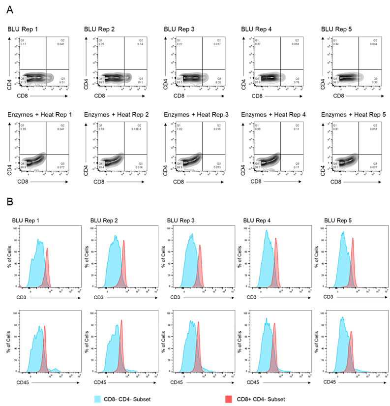 Significantly Improved CD8+ T Cell Isolation From Mouse Tumors With ...